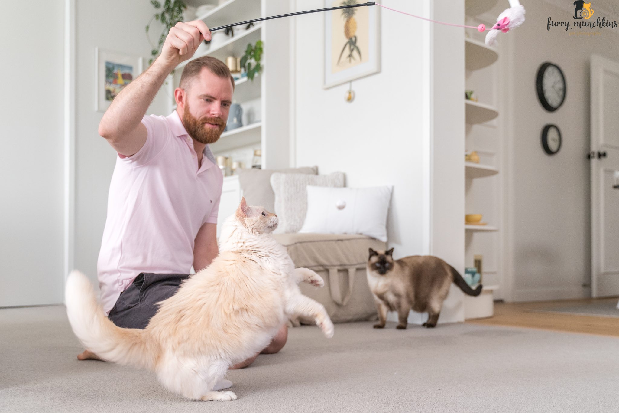 Cat Protection Society of NSW