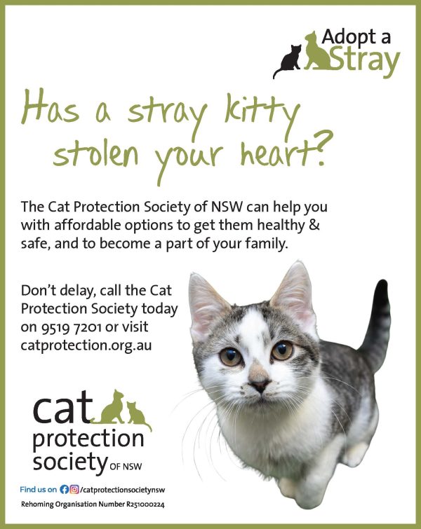 Cat Protection Society of NSW